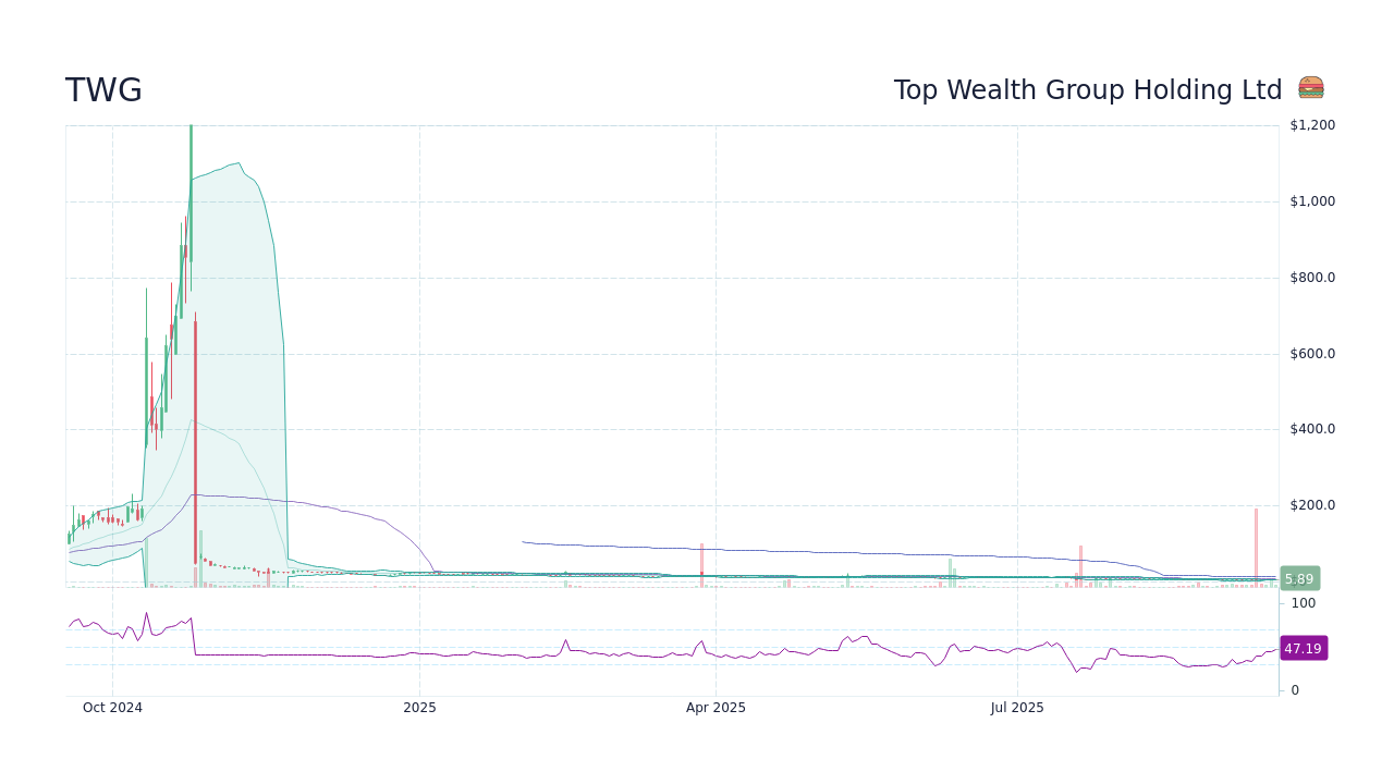 TWG - Top Wealth Group Holding Ltd Stock Price Forecast 2025, 2026 ...