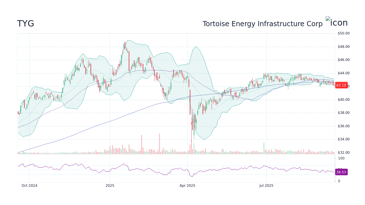 TYG - Tortoise Energy Infrastructure Corp Stock Price Forecast 2025 ...