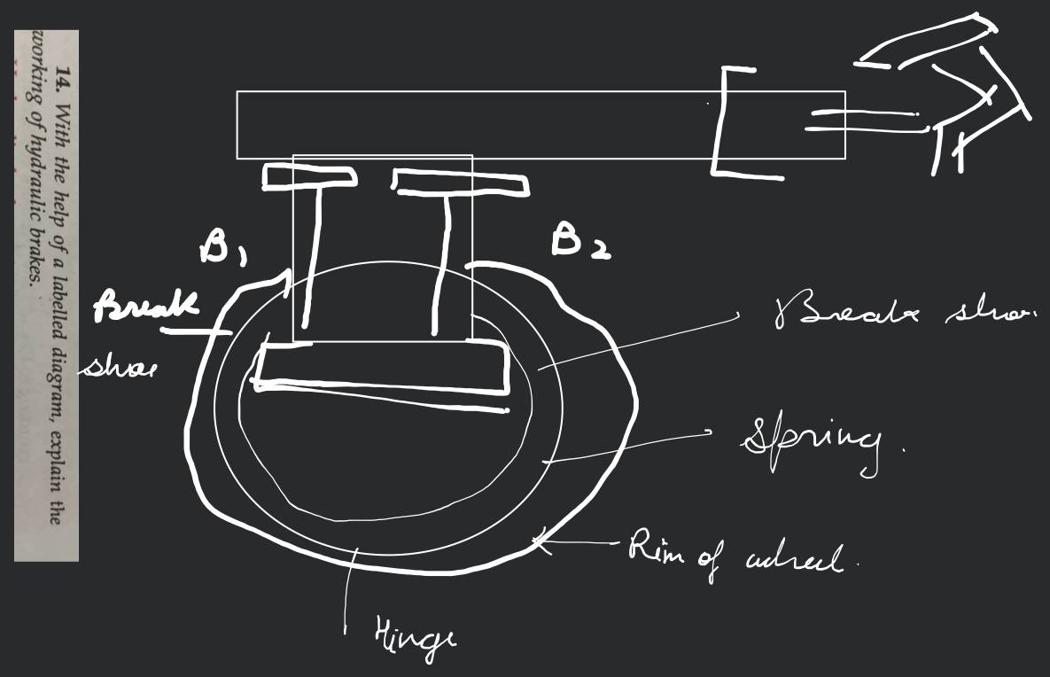 14. With the help of a labelled diagram, explain the working of hydraulic..
