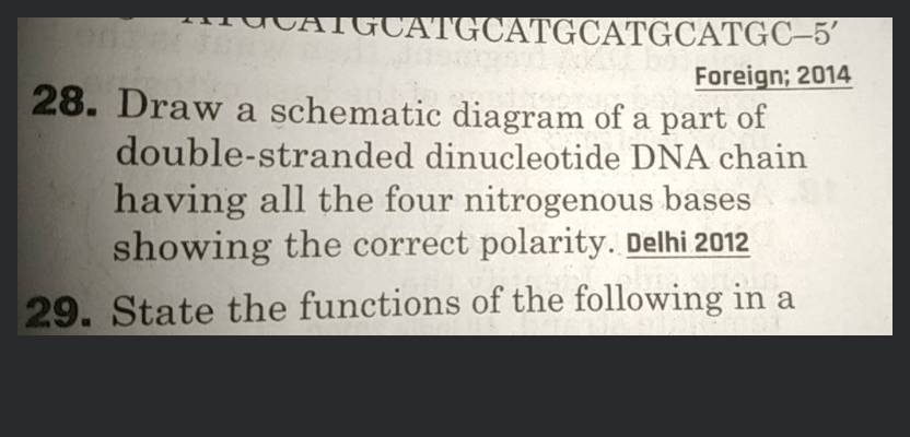 Draw a schematic diagram of a part of double stranded dinucleotide DNA c..