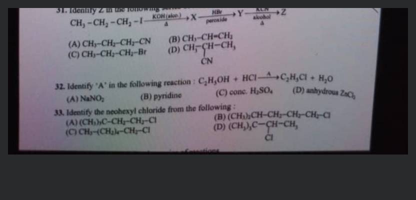 Identify the neohexyl chloride from the following: | Filo
