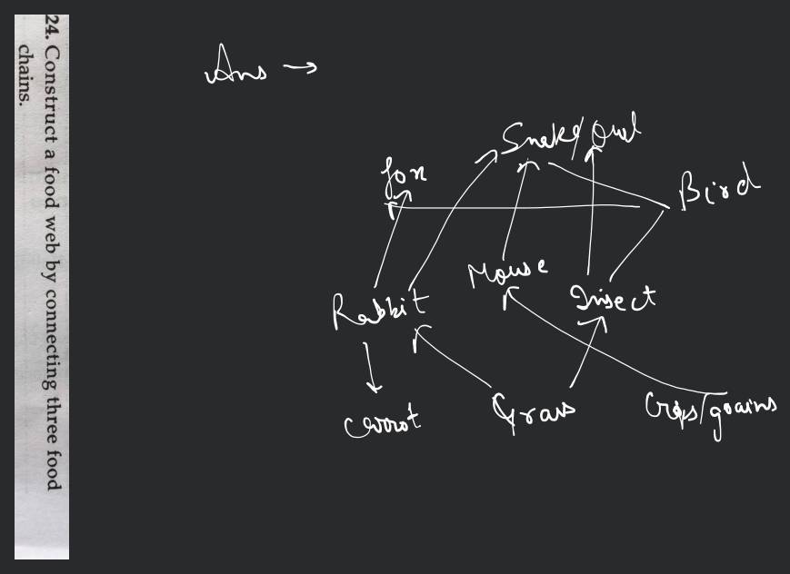 24. Construct a food web by connecting three food chains. | Filo