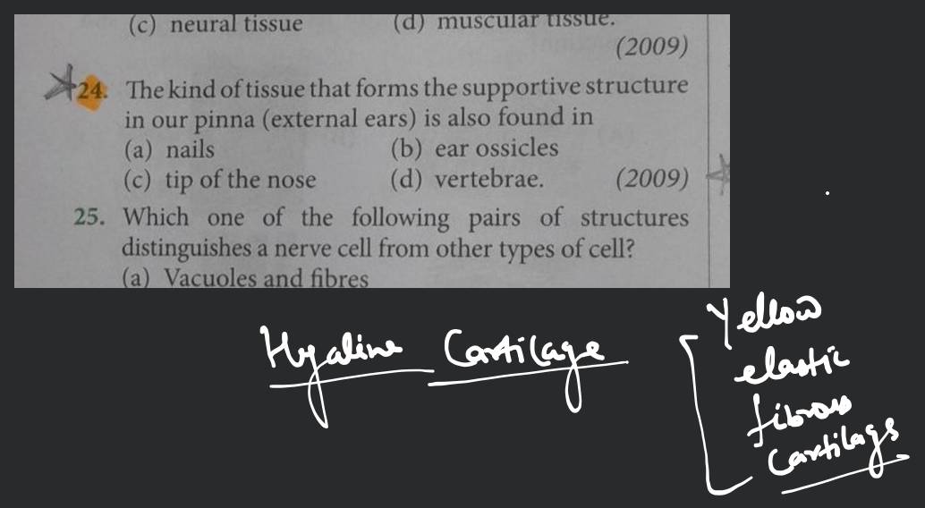 The kind of tissue that forms the supportive structure in our pinna (exte..