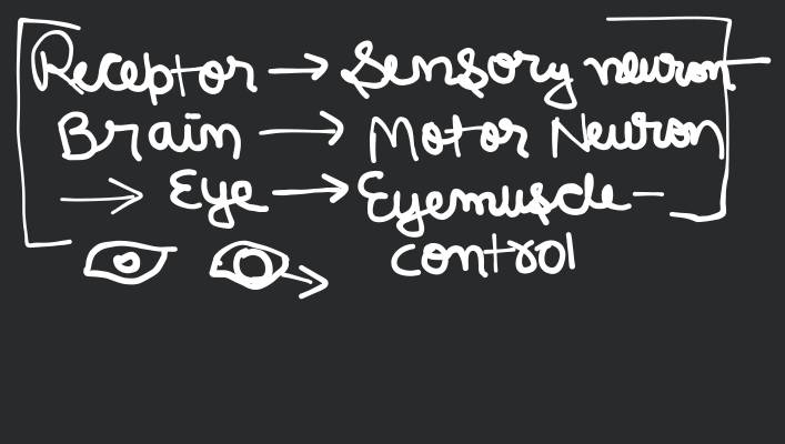Trace the sequence of events which occur when a bright light is focused o..