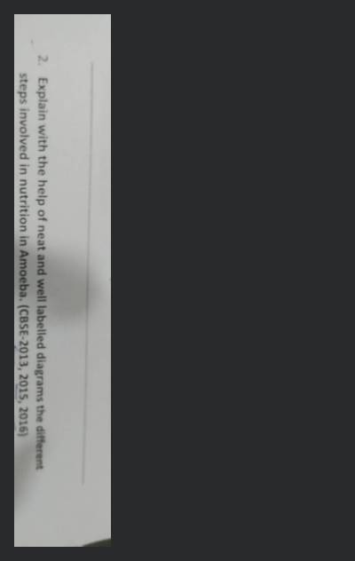 2. Explain with the help of neat and well labelled diagrams the different..