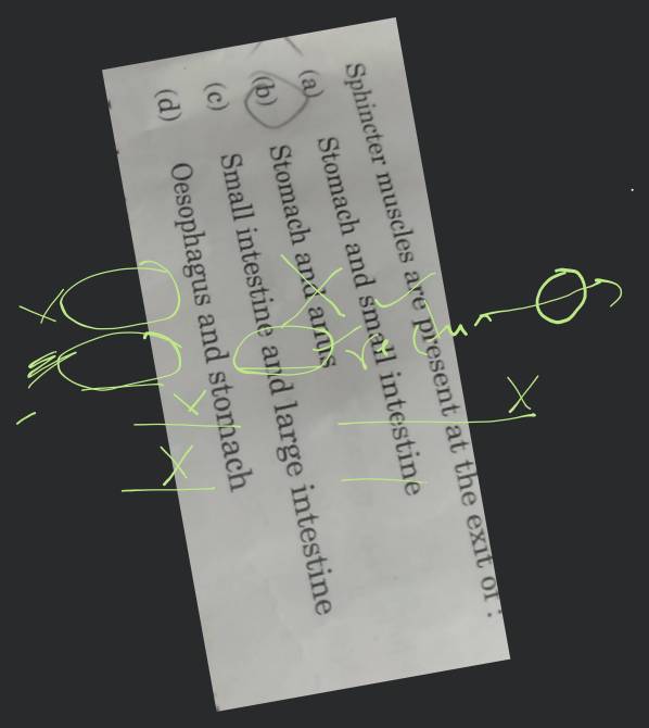Sphincter muscles are present at the exit of: | Filo