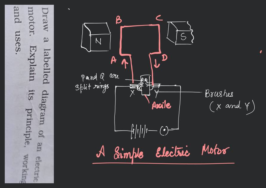 two parts. 39. Draw a labelled diagram of an electric motor. Explain its