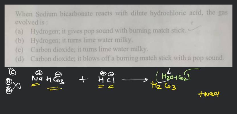 When Sodium bicarbonate reacts with dilute hydrochloric acid, the gas evo..