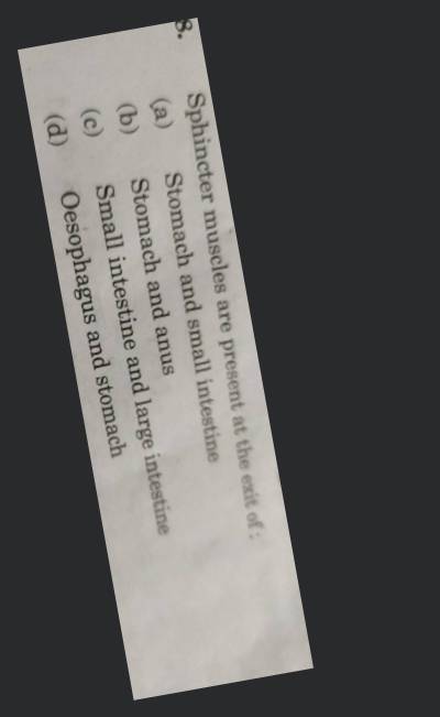 Sphincter muscles are present at the exit of: | Filo