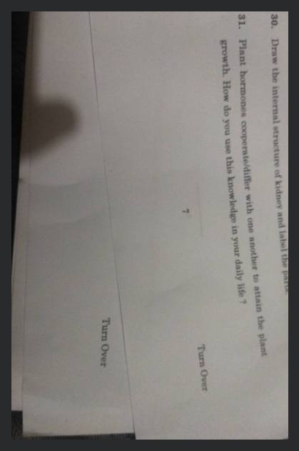 30. Draw the internal structure of kidney and label the parts. 31. Plant