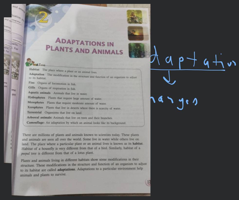 ADAPTATIONS IN PLANTS AND ANIMALS Zome Habitat The place where a plant or..