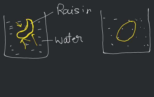 Parts of a Cell#N#A cell consists of a living protoplasm surrounded by ...