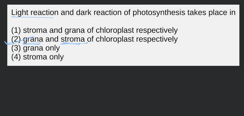 Light reaction and dark reaction of photosynthesis takes place in | Filo
