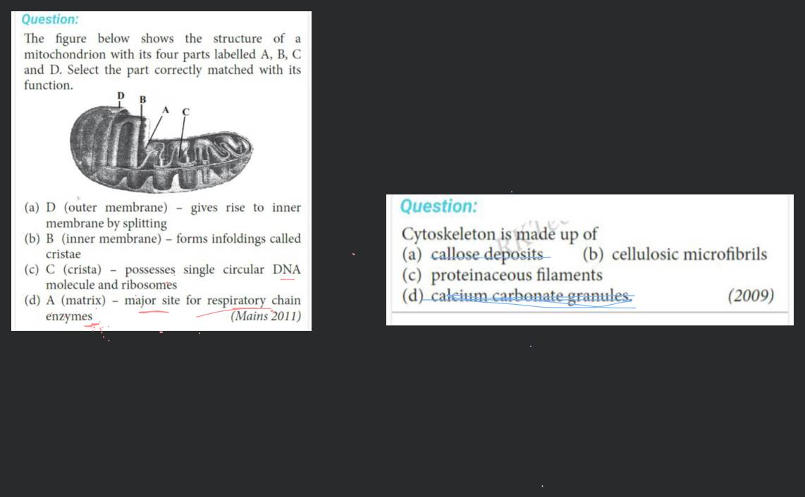The figure below shows the structure of a mitochondrion with its four par..