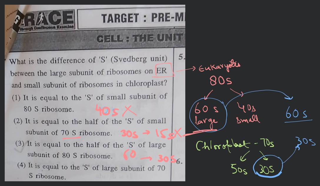 What is the difference of 'S' (Svedberg unit) between the large subunit o..
