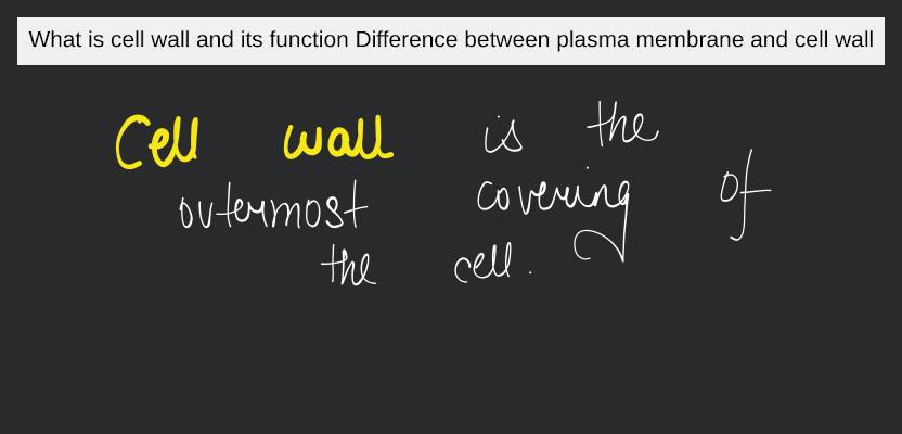 What is cell wall and its function Difference between plasma membrane and..