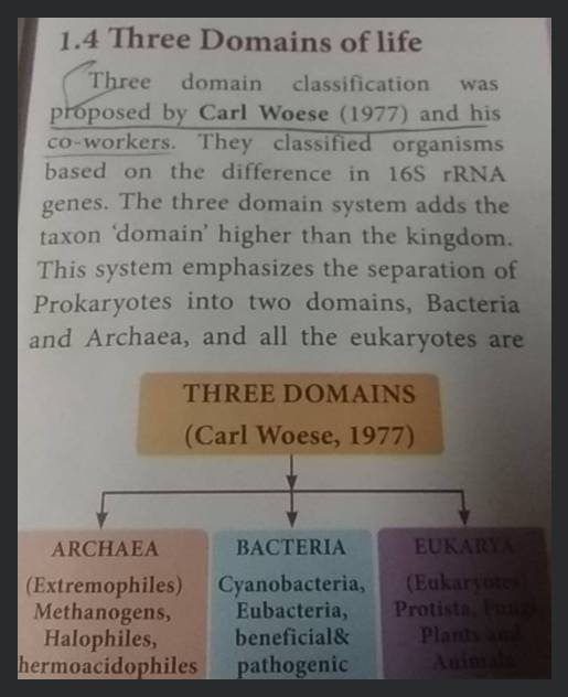Three Domain Classification