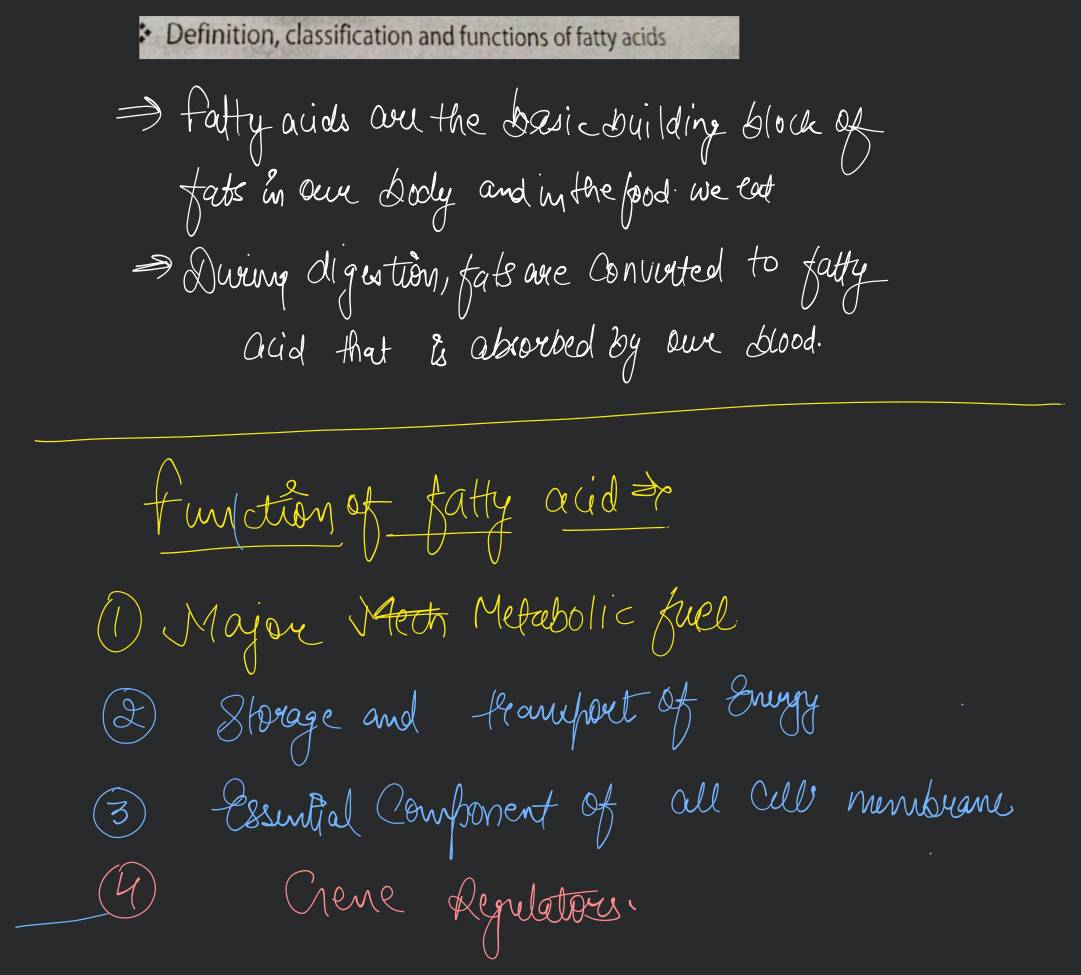 Definition, classification and functions of fatty acids | Filo