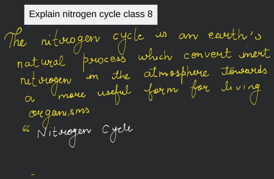 Explain Nitrogen Cycle Class 8 Filo