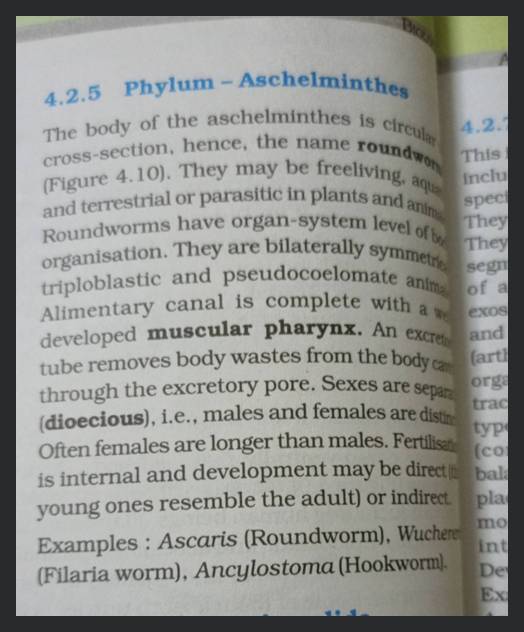 Examples Of Phylum Aschelminthes