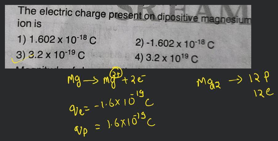 Magnesium Ion
