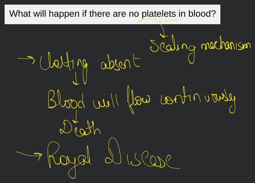 What will happen if there are no platelets in blood? | Filo