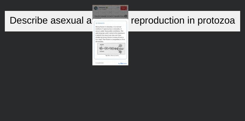 Describe asexual and serial reproduction in protozoa | Filo