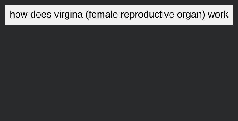 how does virgina (female reproductive organ) work | Filo