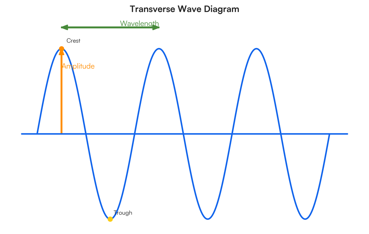 CLASS ACTIVITY 1 What is a wave? Define a transverse wave. Draw a transv..