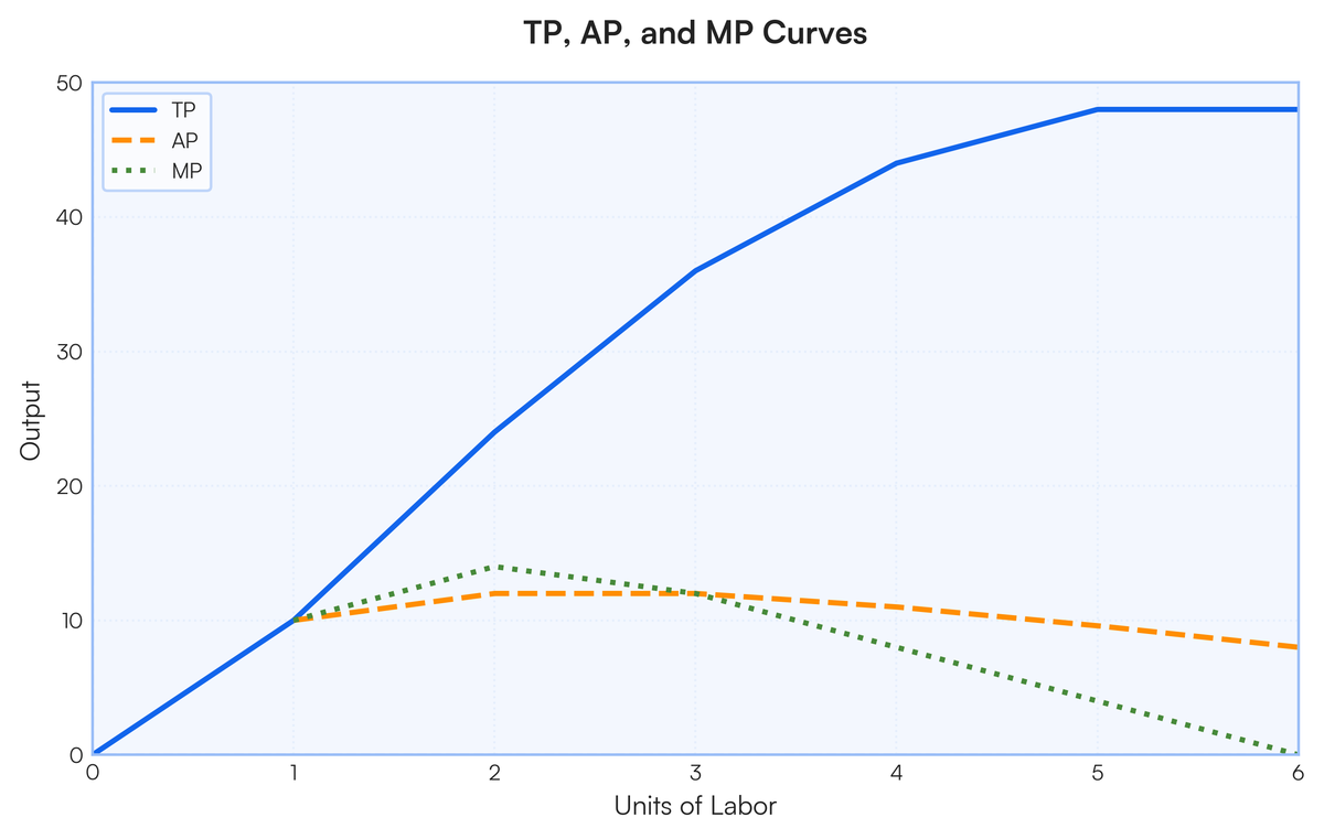 How you can draw the Total product, average product, Marginal product..