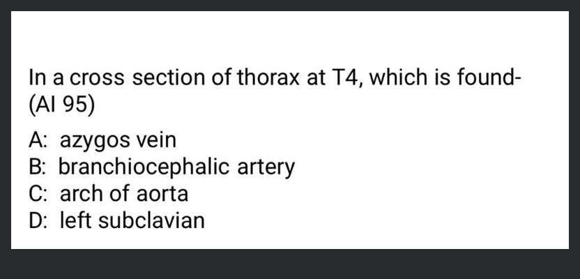 In a cross section of thorax at T4, which is found(Al 95) A: azygos vein