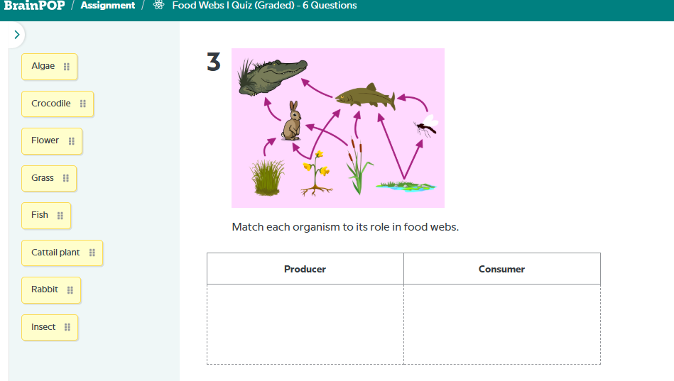 Match each organism to its role in food webs. The organisms are: Algae,