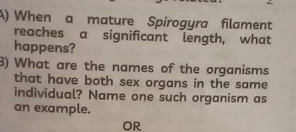 4) When a mature Spirogyra filament reaches a significant length, what ha..