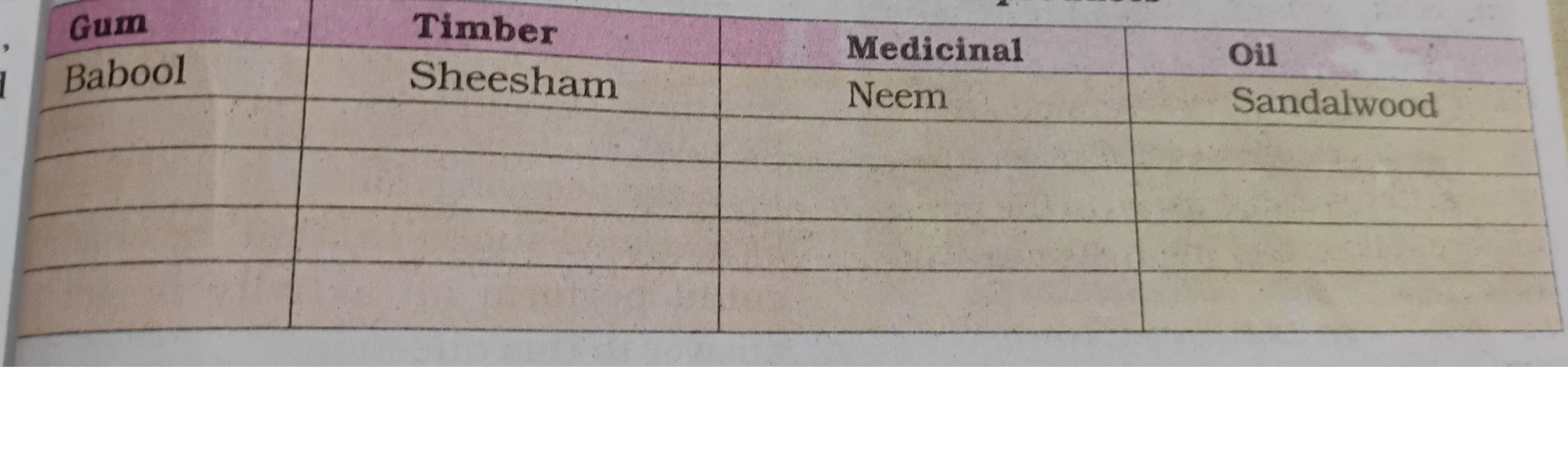 Gum 1 Babool Timber Sheesham Medicinal Oil Neem Sandalwood | Filo