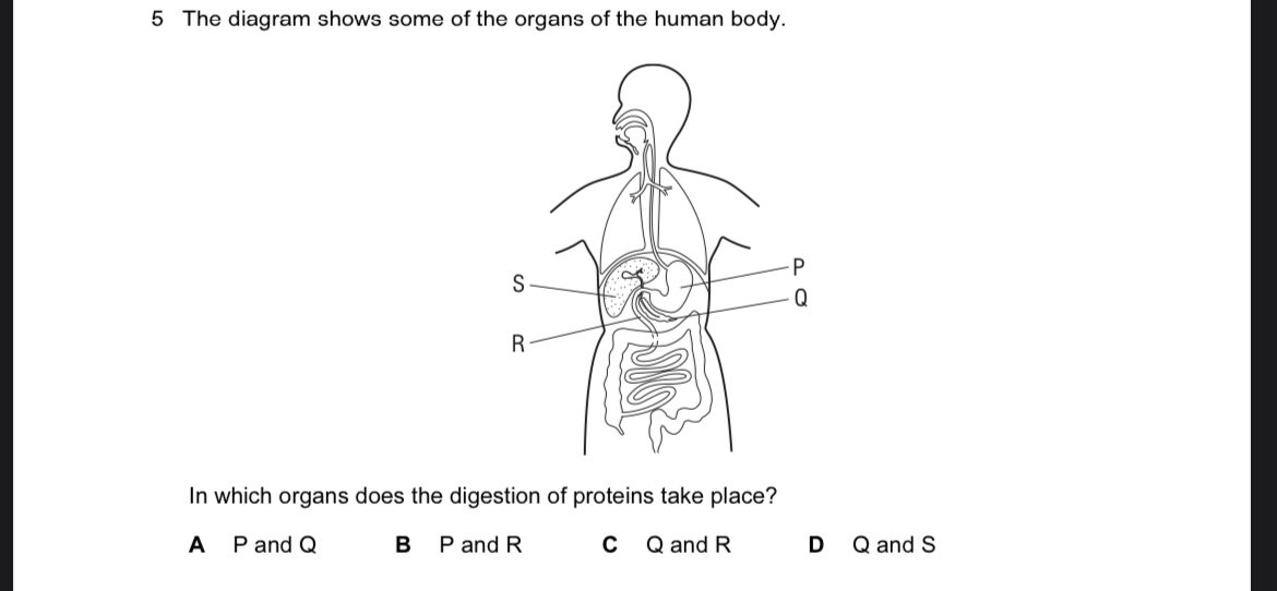 5 The diagram shows some of the organs of the human body.In which organ..