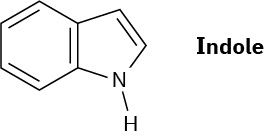 what is the electronic relationship of indole to naphthalene | Filo