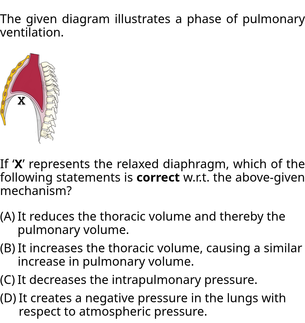 Question: The given diagram illustrates a phase of pulmonary ventilation...