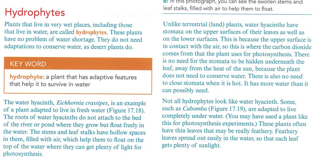 Hydrophytes Plants that live in very wet places, including those that li..