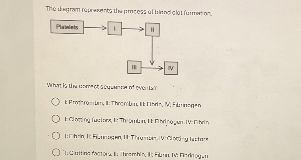 The diagram represents the process of blood clot formation. What is the