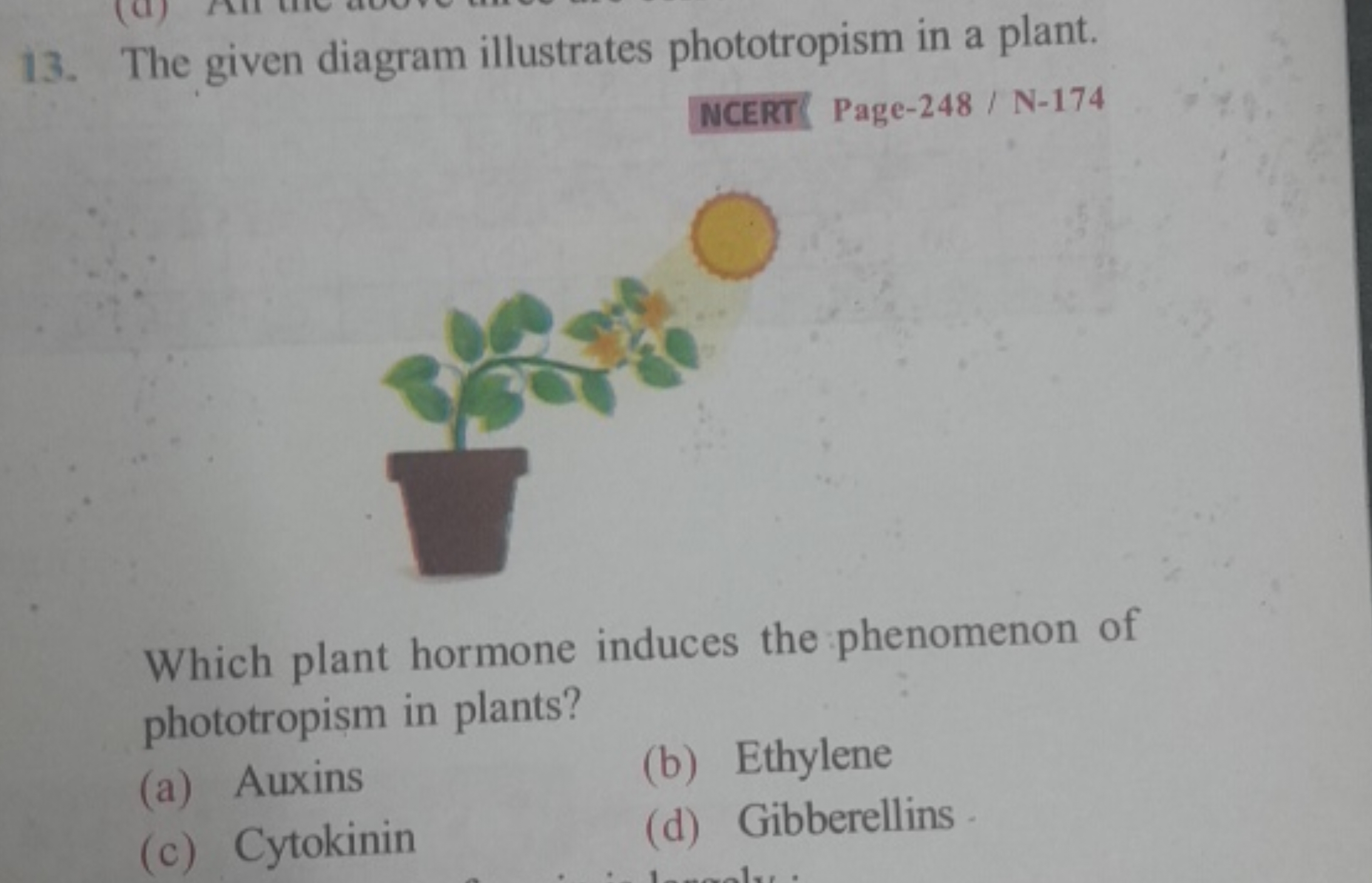 13. The given diagram illustrates phototropism in a plant.Which plant h.. 13. The given diagram illustrates phototropism in a plant.Which plant h..