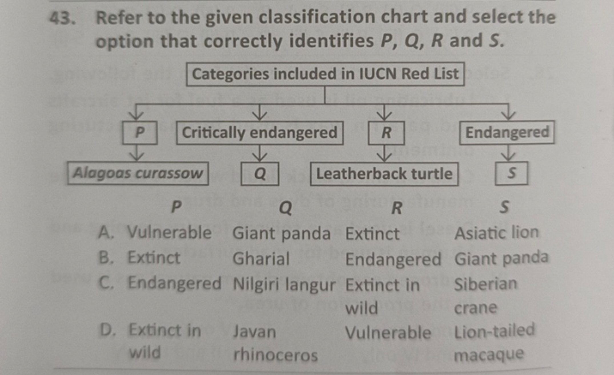43. Refer to the given classification chart and select the option that co.. 43. Refer to the given classification chart and select the option that co..