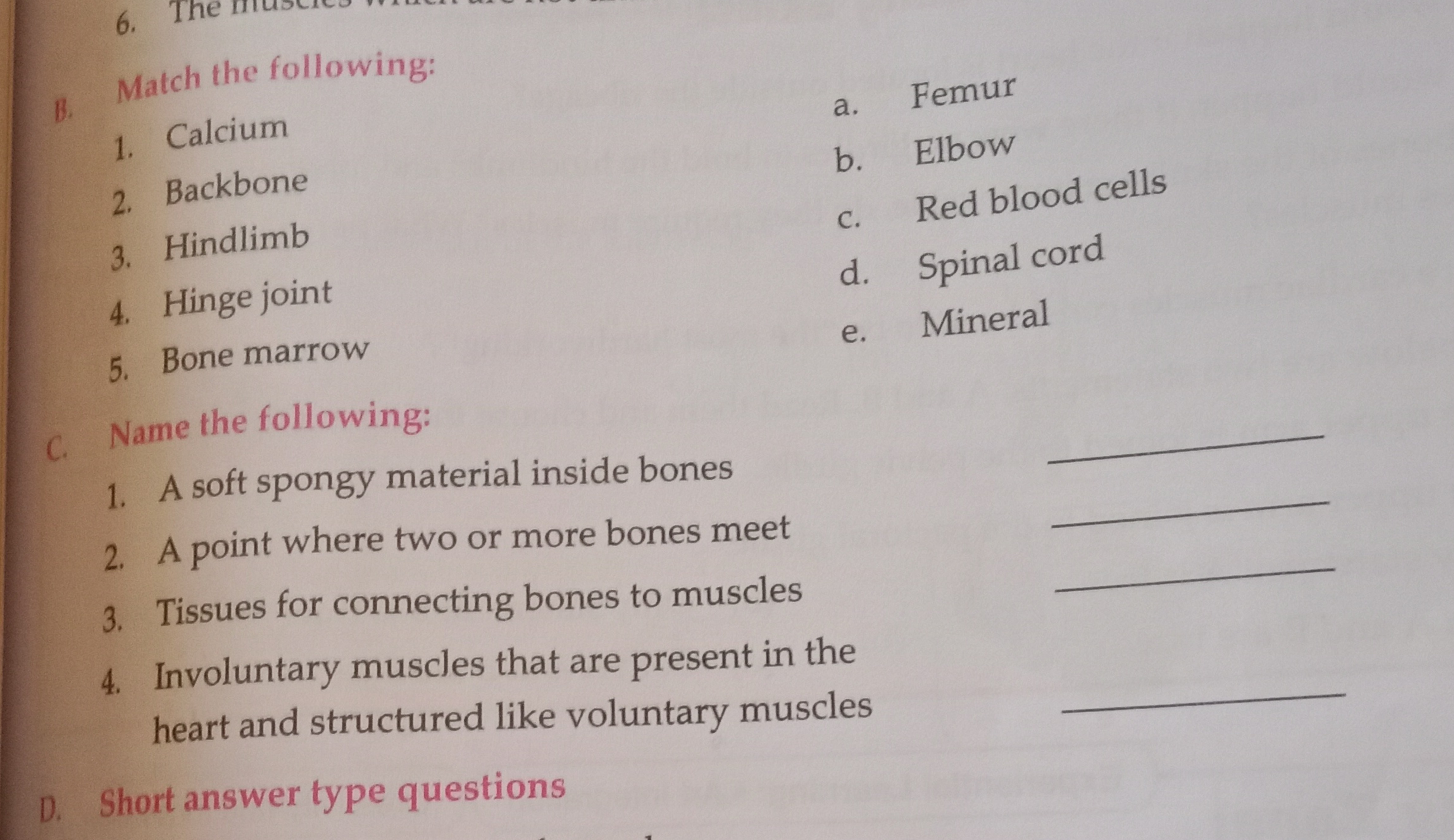 B. Match the following: Calcium a. Femur Backbone b. Elbow Hindlimb c. Re..