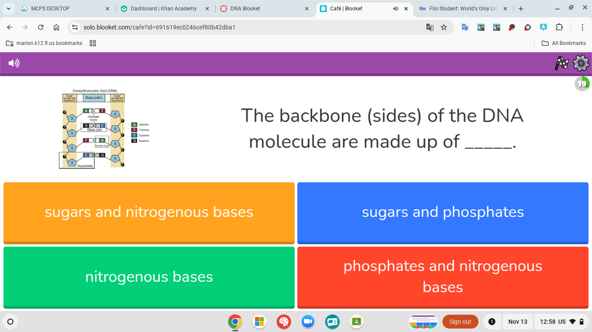 The backbone (sides) of the DNA molecule are made up of __. A) sugars an..