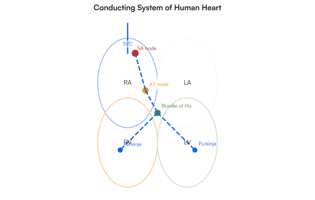 Section-B Attempt any eight of the following questions. (16 Marks) Q.3)