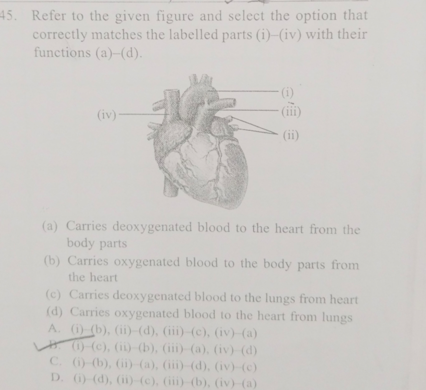 Refer To The Given Figure And Select The Option That Correctly Matches Th