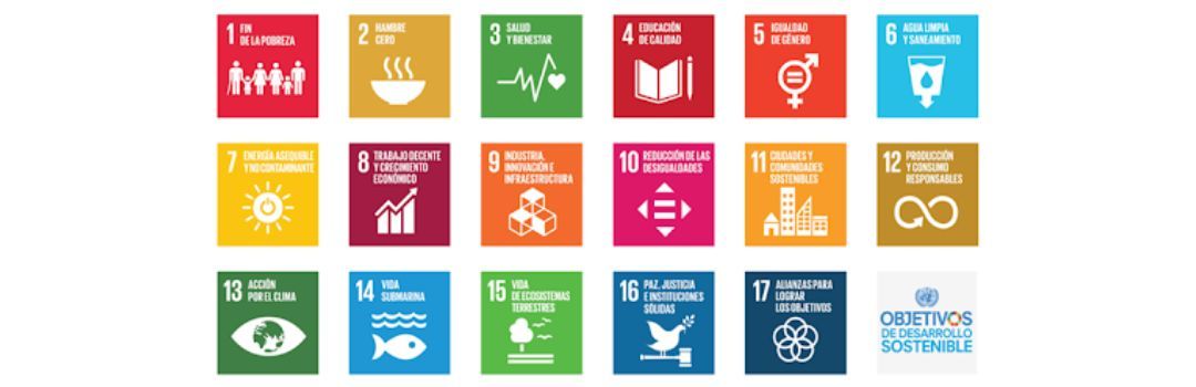 FinGurú - ¿Qué son los bonos de colores? por lucina pallavicini