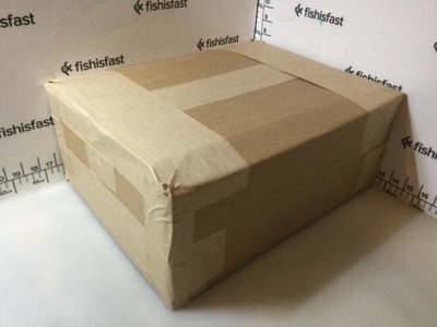 Fishisfast US Parcel Forwarding