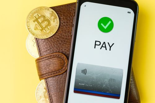 E-Wallet in Indonesia: What to Choose and How to Use