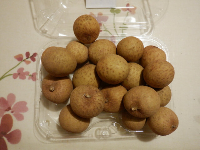 龙眼 | Dimocarpus longan | 科技研花图画书