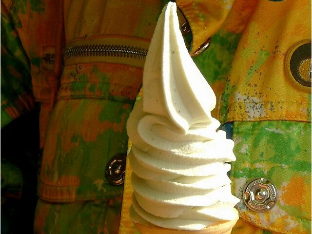 Wasabi | Wasabia japonica | Flower Database